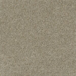 Shop Dreamweaver Carpets and Rugs - Roger's Family Flooring