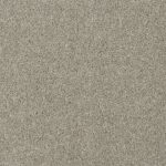 Shop Dreamweaver Carpets and Rugs - Roger's Family Flooring