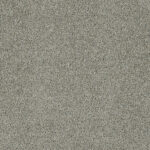 Shop Dreamweaver Carpets and Rugs - Roger's Family Flooring