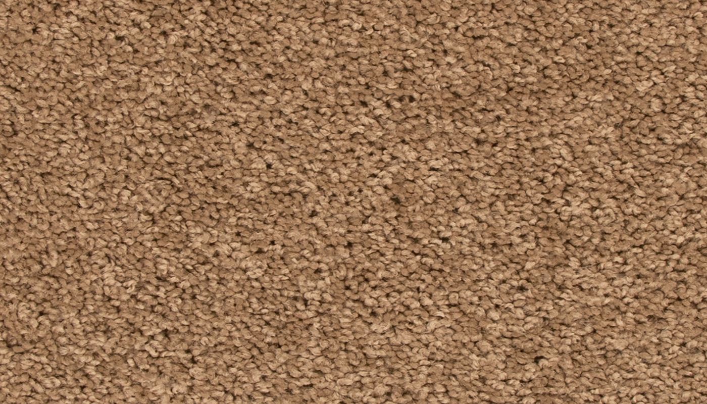 Mohawk EverStrand Revive Fowler – Stylish Neutral Carpet for Any Room ...